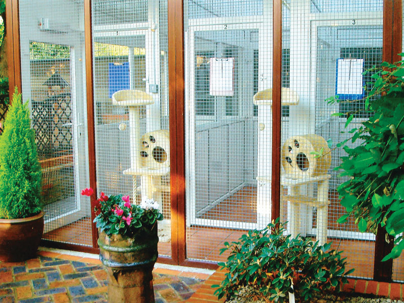 Imberpark Cattery | Shepperton, Middlesex, Near Heathrow | Luxury Pet Hotel